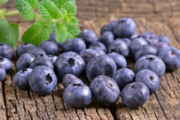 Help Bust Fat With Wild Blueberries