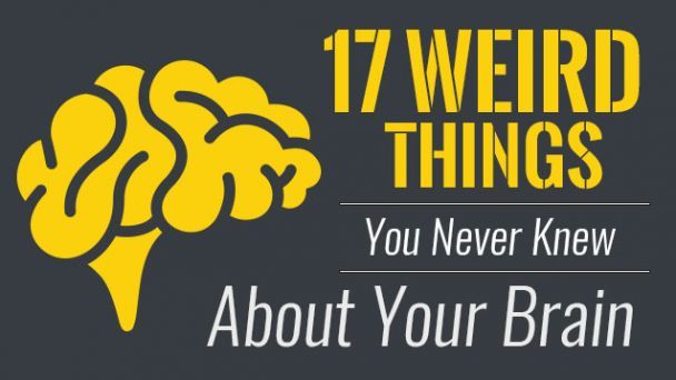17 Weird Things You Never Knew About Your Brain