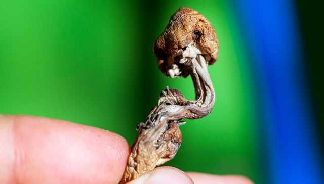 Can Psychedelics Help You Contact Aliens?